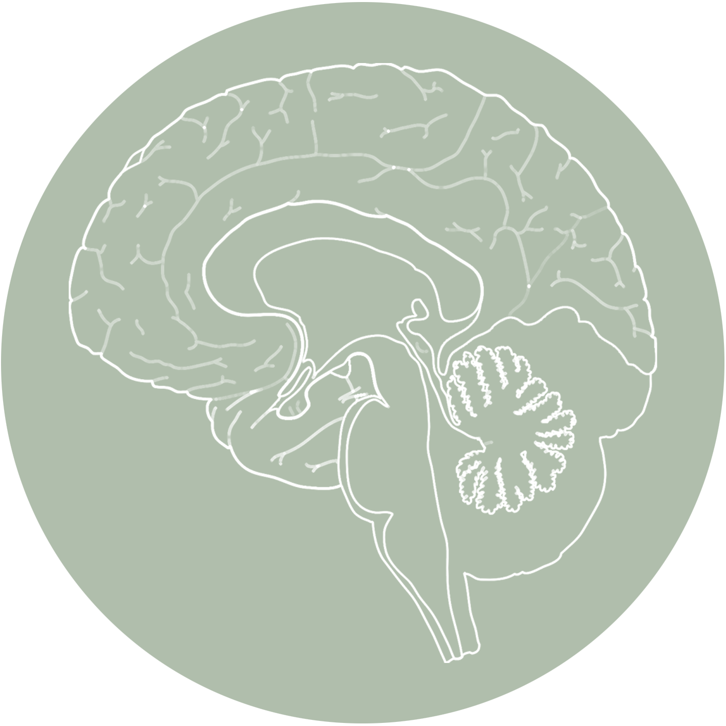 Breinstudio Ellen - Home